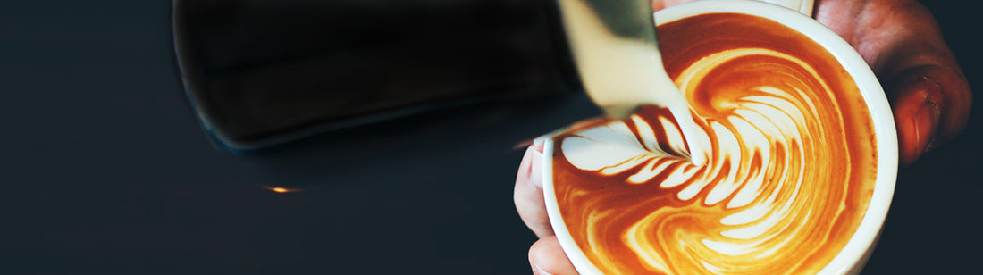 Barista Progear Professional Barista Tools